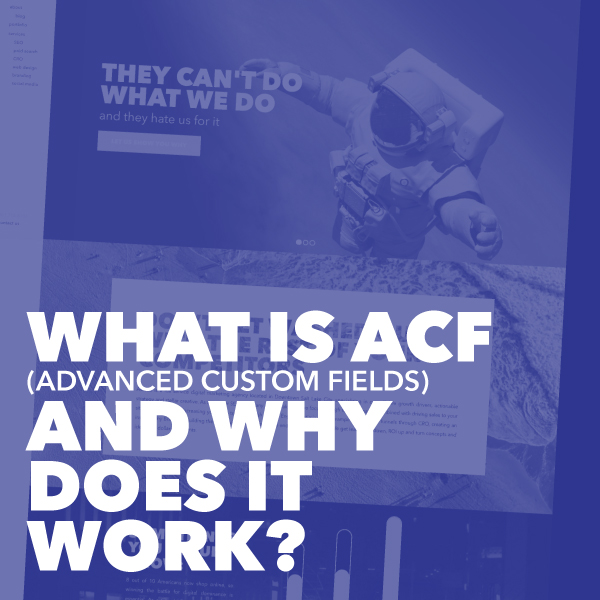 ACF: What is Advanced Custom Fields and Why Should I Use It? - Avant8